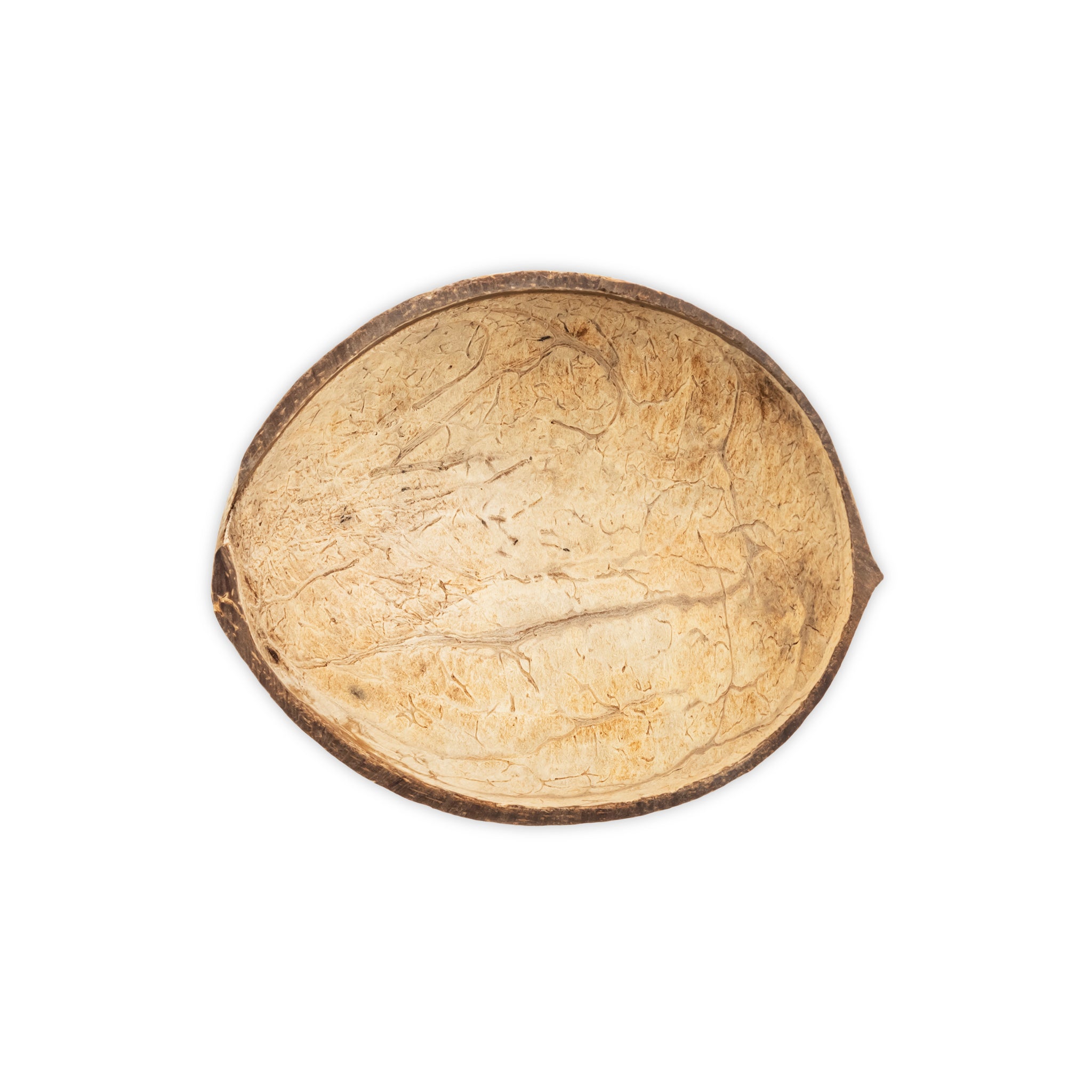 Bulk Small Coconut Shell, Round Bottom, 5oz – Coconut King