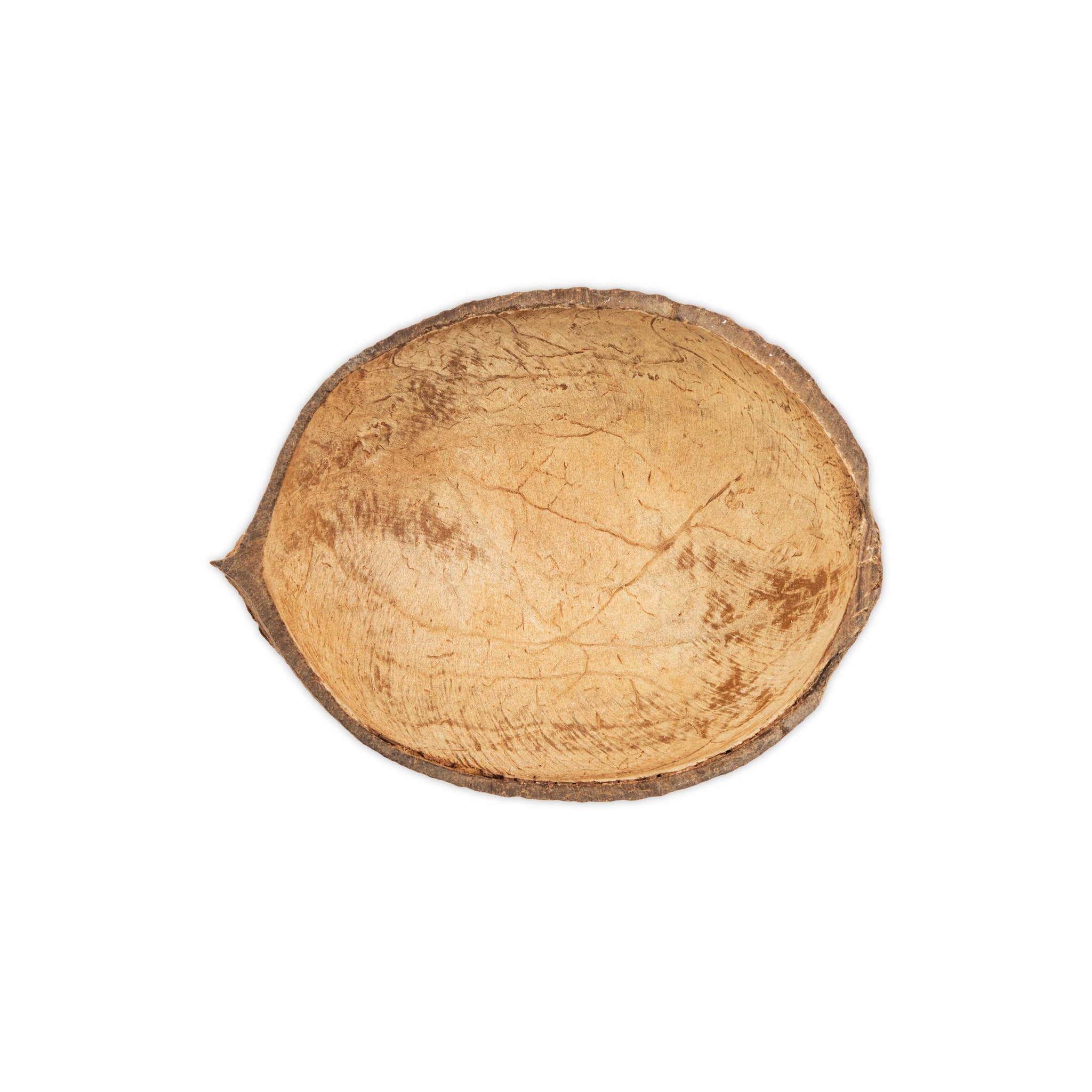 Large Coconut Shell, Round Bottom, 8oz – Coconut King