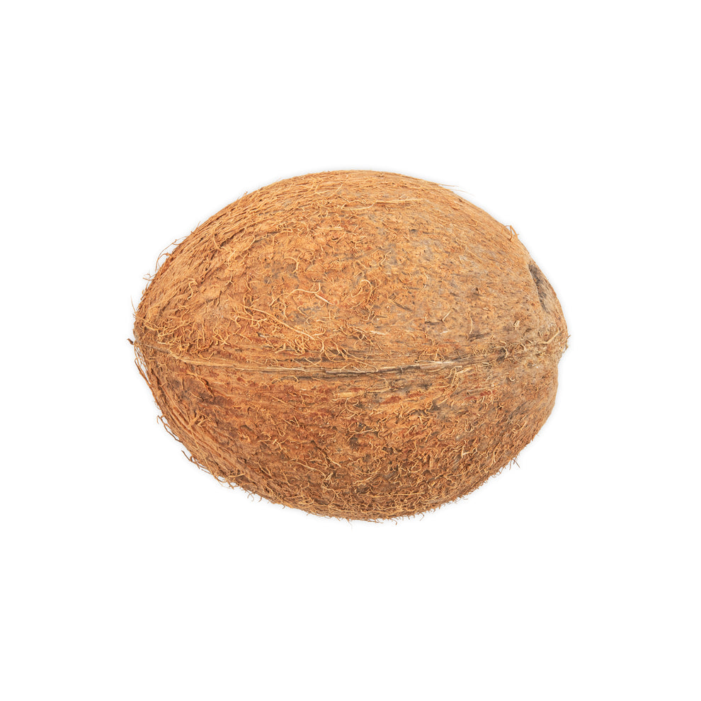 Bulk Coconut Shell with Fiber – Coconut King