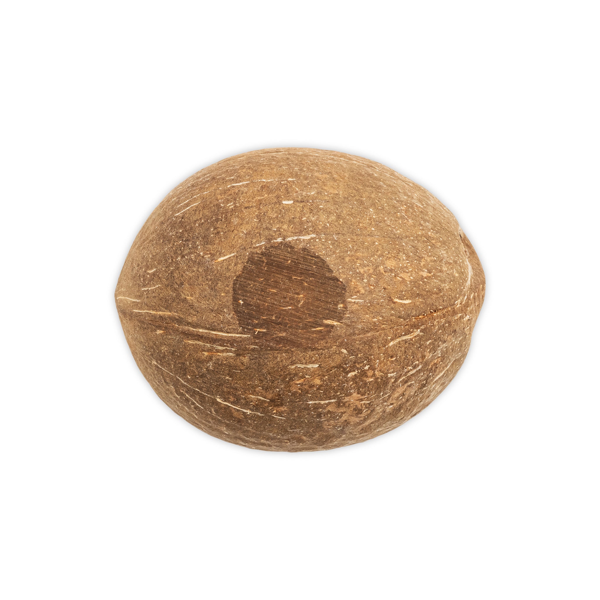 Bulk Small Coconut Shell, Flat Bottom, 5oz – Coconut King