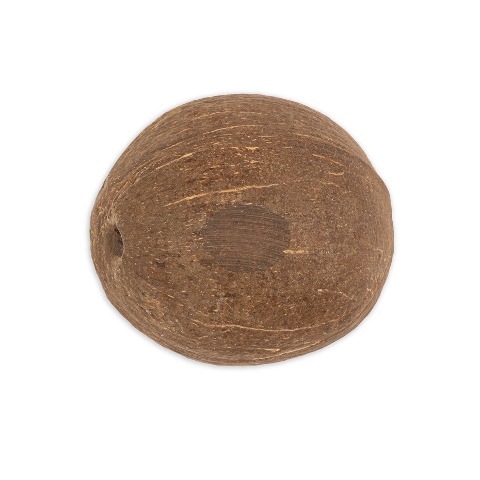 Bulk Medium Coconut Shell, Flat Bottom, 6oz – Coconut King