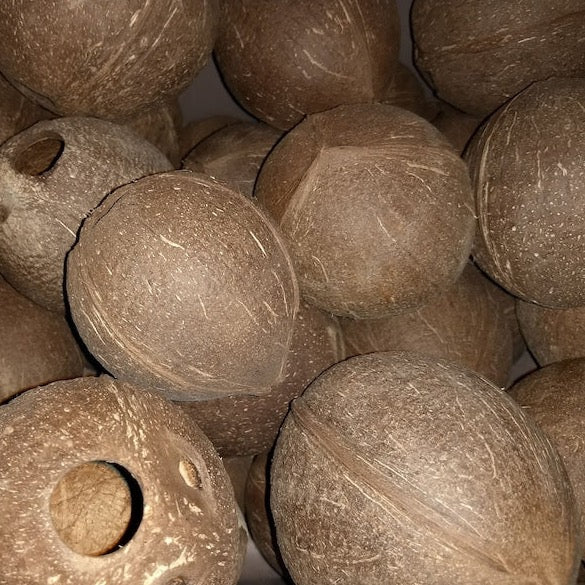 Bulk Whole Coconut Shell Hollow Matte (No Fiber) – Coconut King